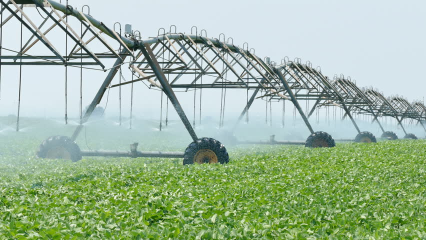Irrigation Of Soybean In The Field Stock Footage Video 1261915 - Shutterstock