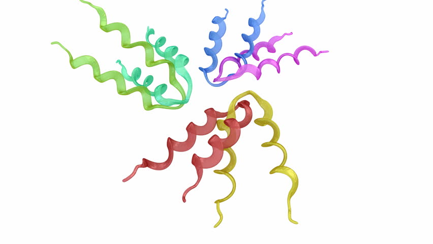 Protein 3d Model Over White Stock Footage Video 12026888 Shutterstock
