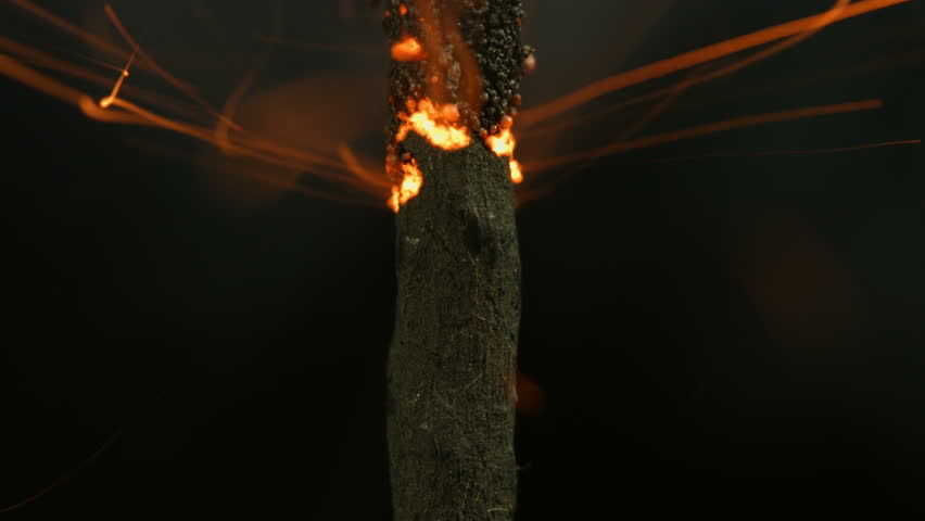 Fuse Burning Dynamite Stock Footage Video 5599337 Shutterstock