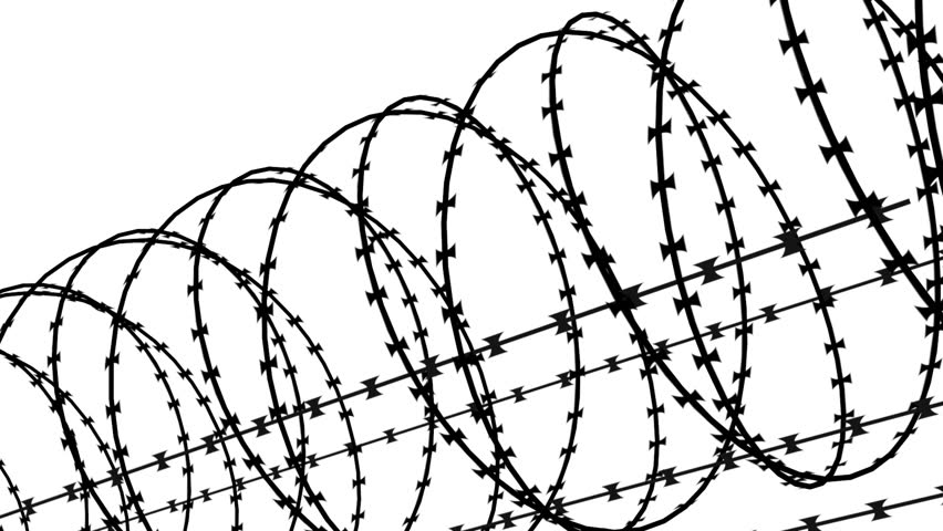 Barbed Wire, Animation Stock Footage Video 10133711 - Shutterstock