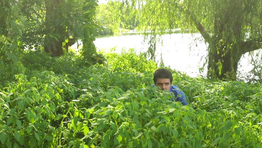 Hiding In Bush Stock Footage Video - Shutterstock