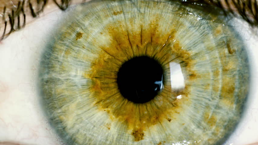 Female Green Eye Close Up Extreme Macro Zoom In Iris.HD Real Time ...