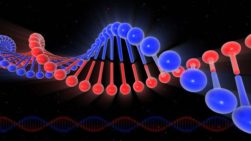 Seamless Looping Animation Of Rotating DNA Strands With Symbols Of ...