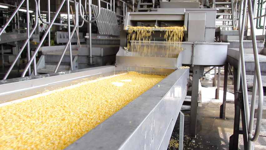 Corn Processing Factory. Man Controls The Processing Of Corn Stock ...