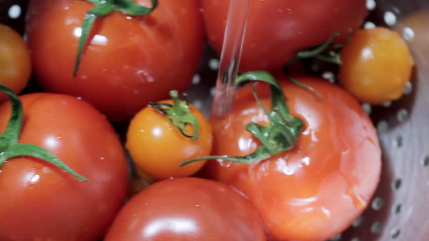 Washing Tomatoes Stock Footage Video 2768927 - Shutterstock