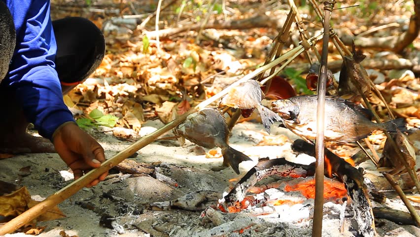 Campfire Cooking Fish On