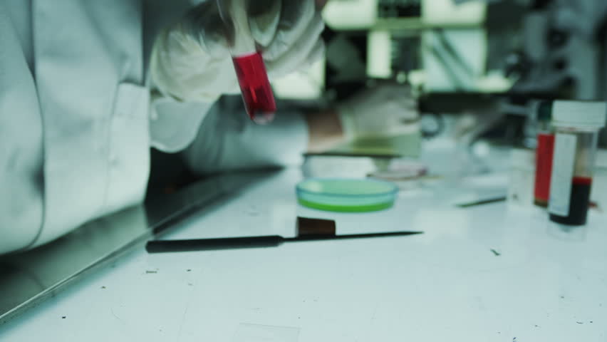 Close Up Of A Biological Experiment In A Scientific Research Laboratory ...
