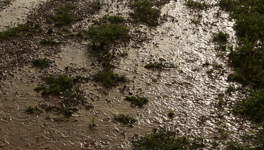 Heavy Rain On Mud And Grass Stock Footage Video 4419701 - Shutterstock