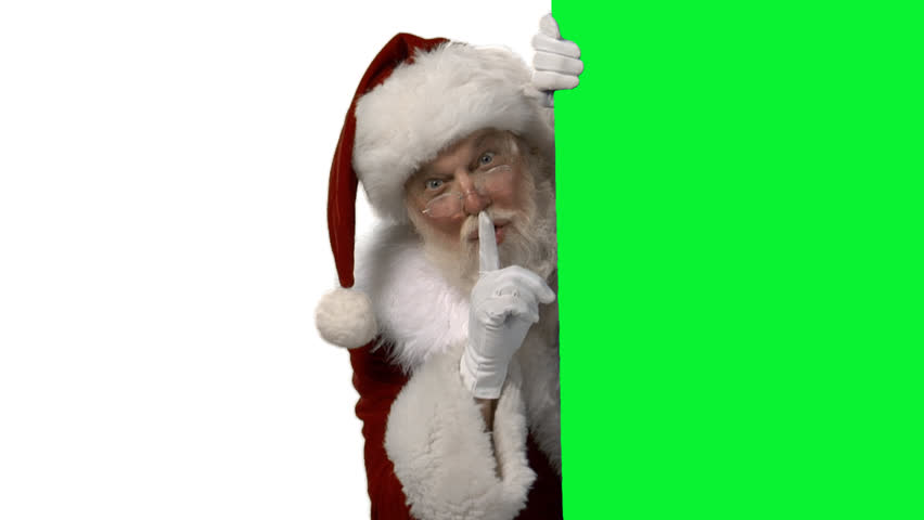 Santa Smile And "Shhhh!" Wink Included. Green Plate Included For Your ...