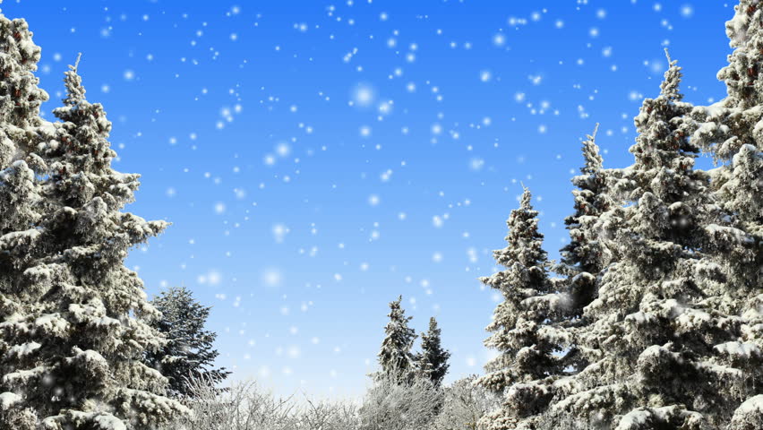 Winter Scene And Animated Snow Loop Stock Footage Video 5070197 ...
