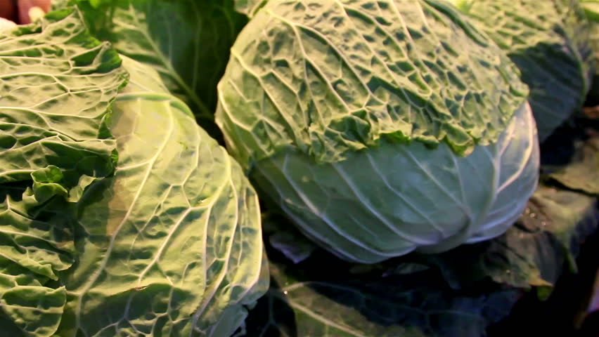 Close Image Of The Large Cabbage Head So The Consumers Can See How ...