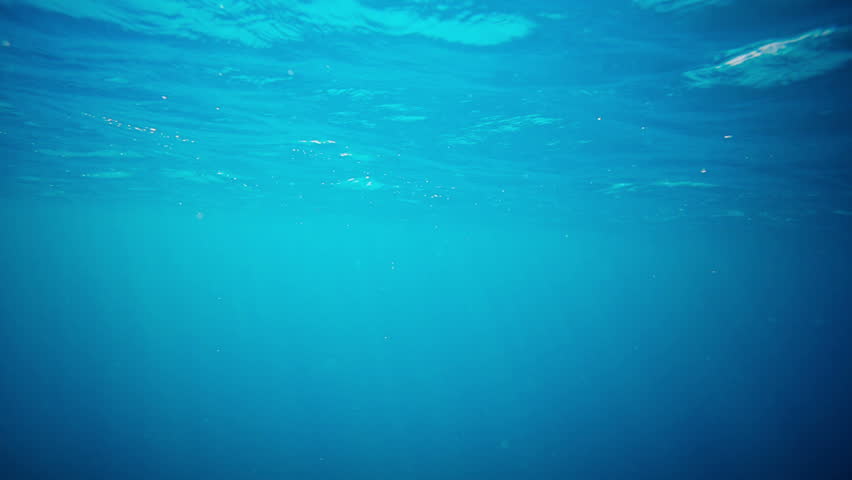 Just Under The Blue Ocean Water Surface Video Stock Footage Video ...