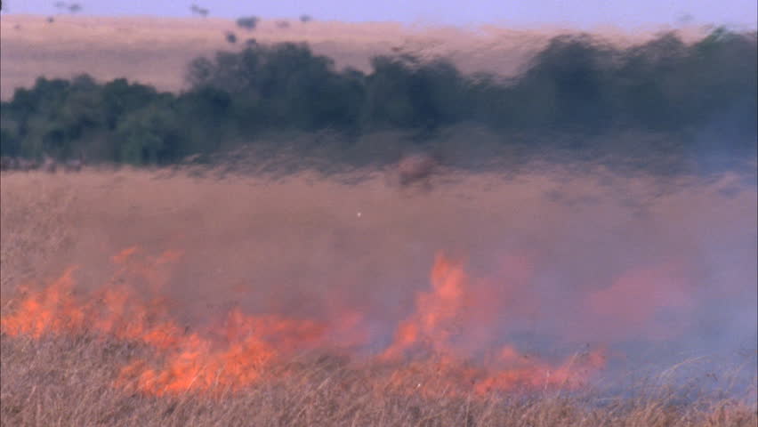 Flame With Heat Shimmer Above Stock Footage Video 5756480 - Shutterstock