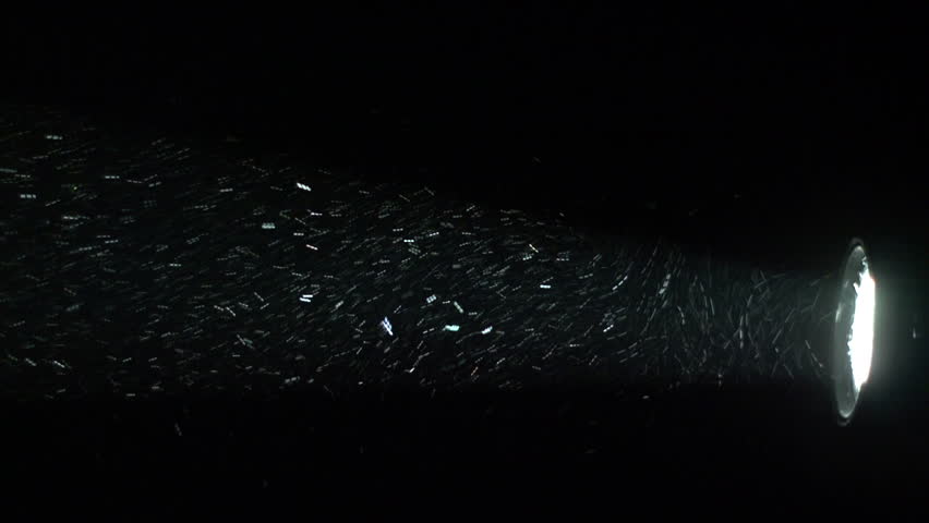 Loopable Film Projector Beam. Dust In The Rays Of Light. Stock Footage ...