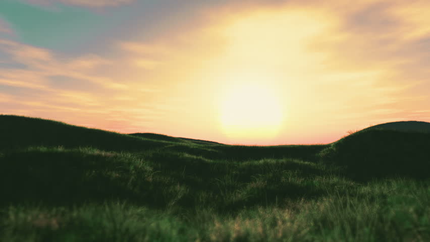 Wonderful Lush Summer Field 3D Animation Camera Fly Over The Meadow ...