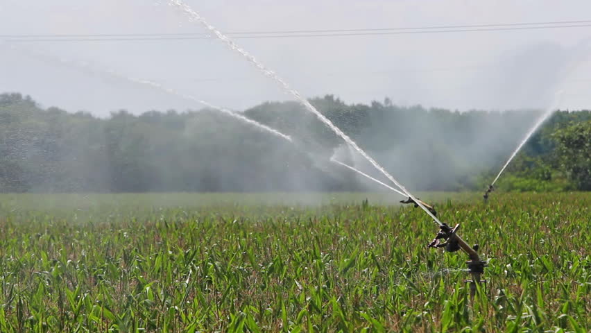 Agricultural Sprinkler Watering Crops. Rain Gun Irrigation System ...