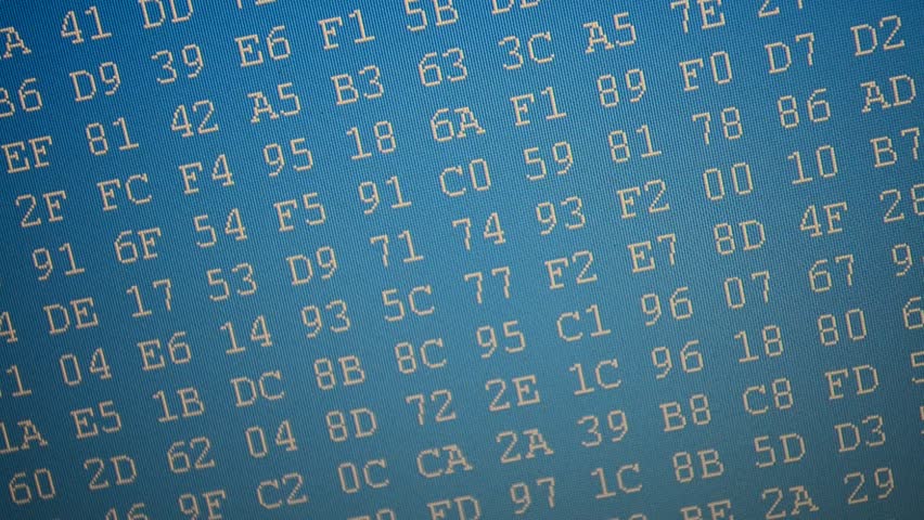 Hexadecimal Program Code On Screen. Animated Background Of Moving ...