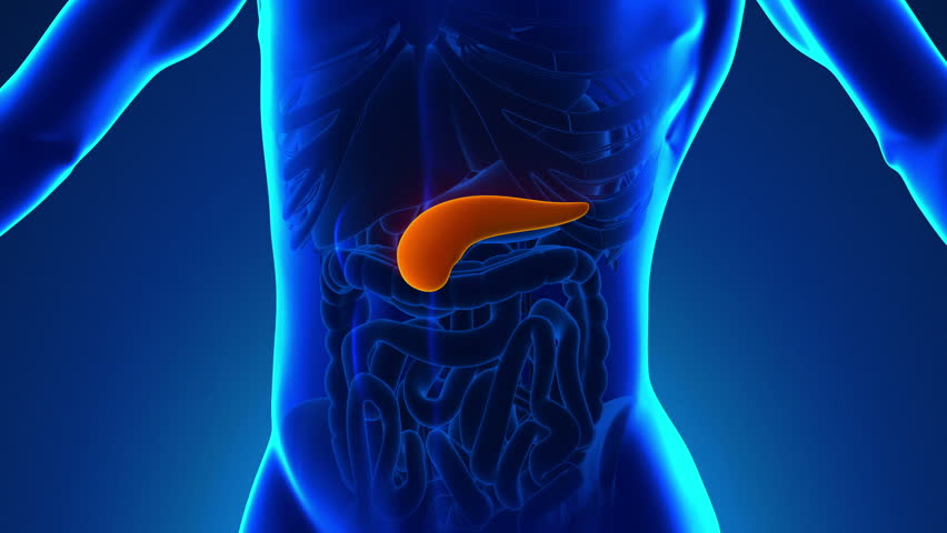 Neuron Impulses Into Brain Stock Footage Video 3705488 - Shutterstock